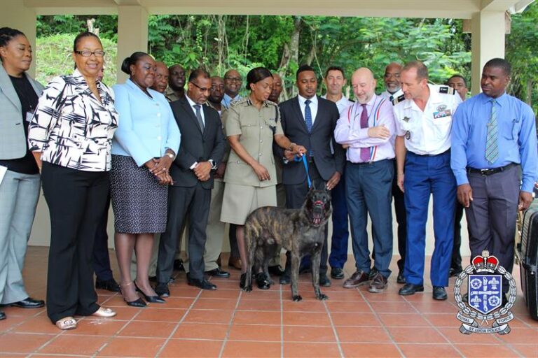 St Lucia Business Online