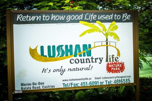Lushan Country Life 📞 Contact Us – St Lucia Business Online