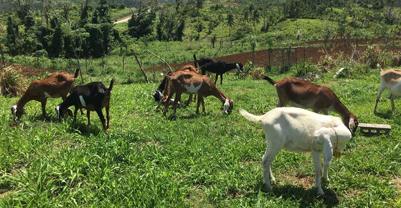 Media Release: Fostering agricultural sustainability in the Eastern ...