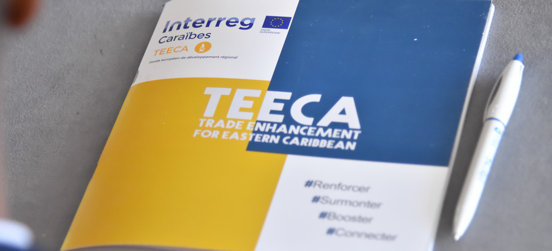 Enhancing Trade and Investment: TEECA Programme hosts Business Retreat ...