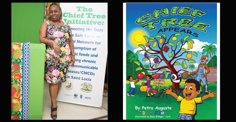 Media Release: Chief Tree to have long term health impact – St Lucia ...